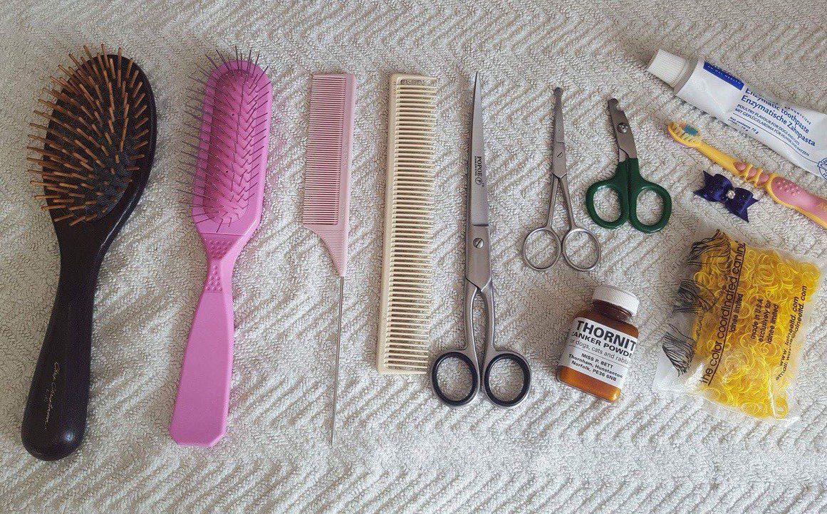 Total Grooming Guide for your Maltese Dog – The Maltese Club